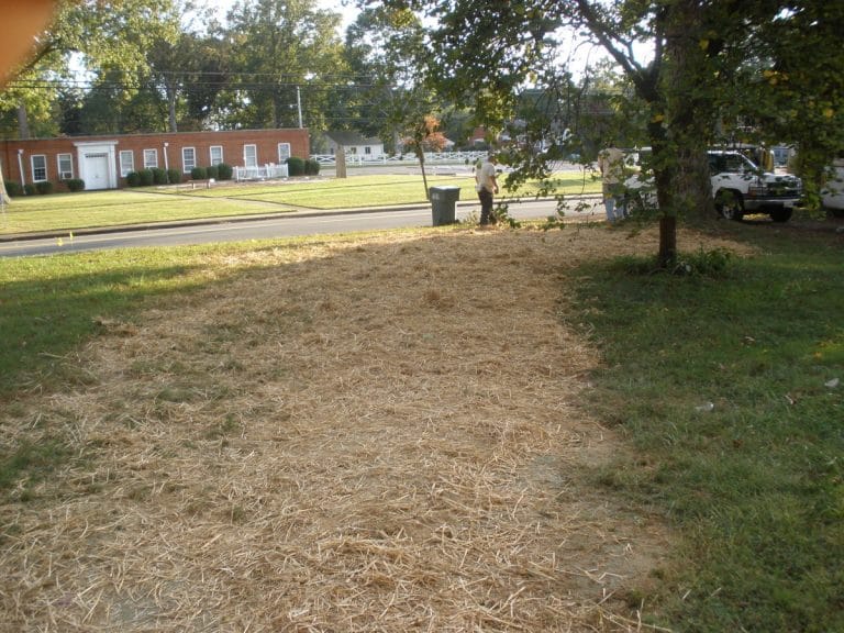 How to find your lateral lines – Septic Tank Care